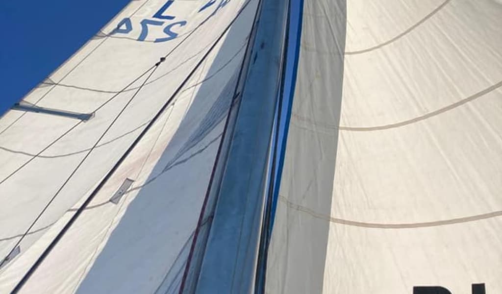 Velamar Velamar 31 - Cruzeiro com 29 HP 31 pés | Bombarco